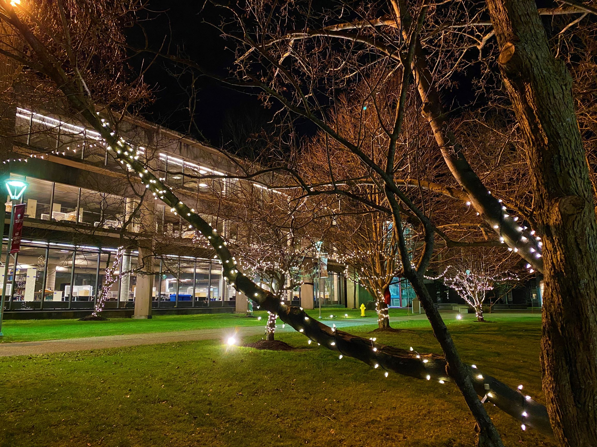 Welcome to the SMU Library Blog! – Patrick Power Library Blog